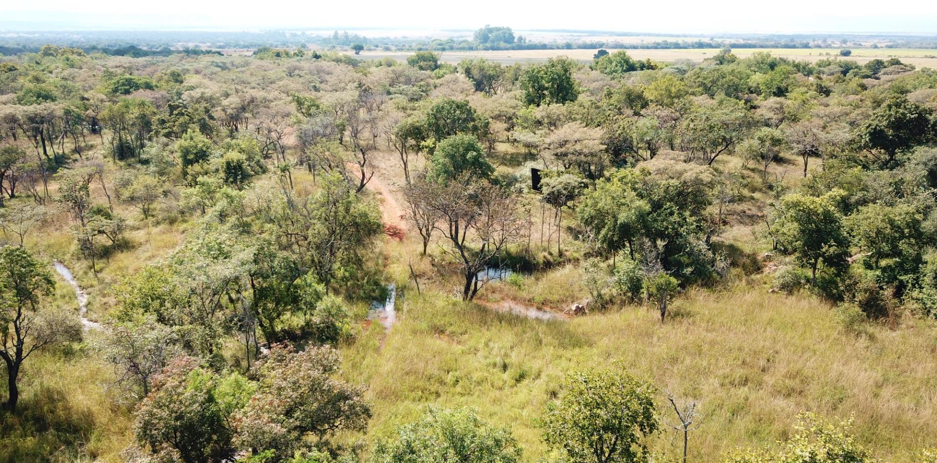 Farm for Sale in Vaalwater, Vaalwater - 740449